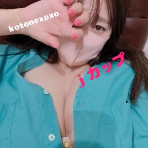 Fanblebee - クリエイター一覧